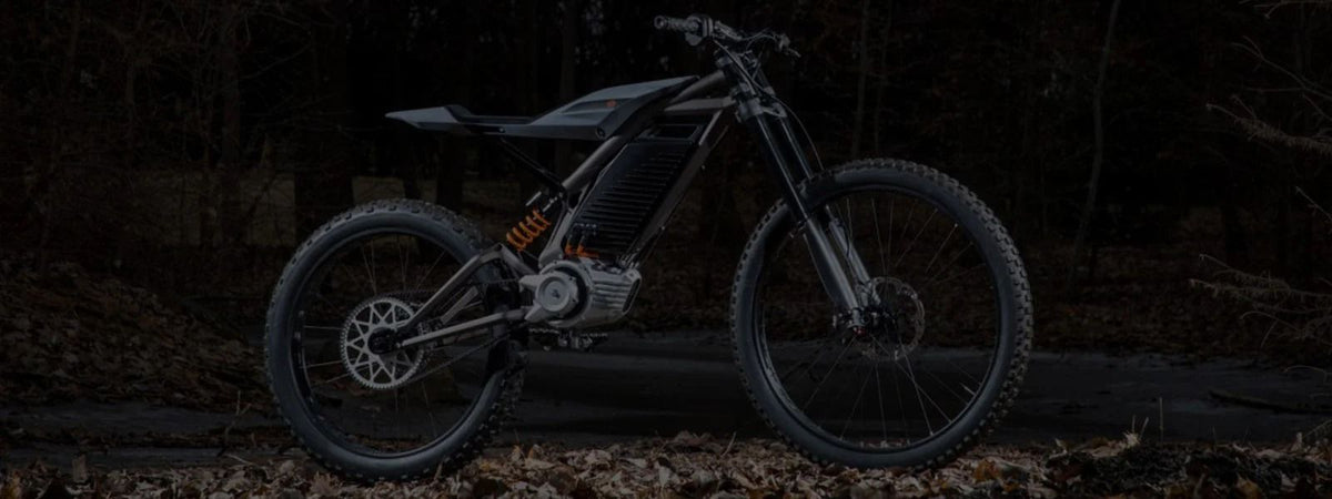 First Look at Harley-Davidson's New Electric Bikes - Quad Lock® USA ...